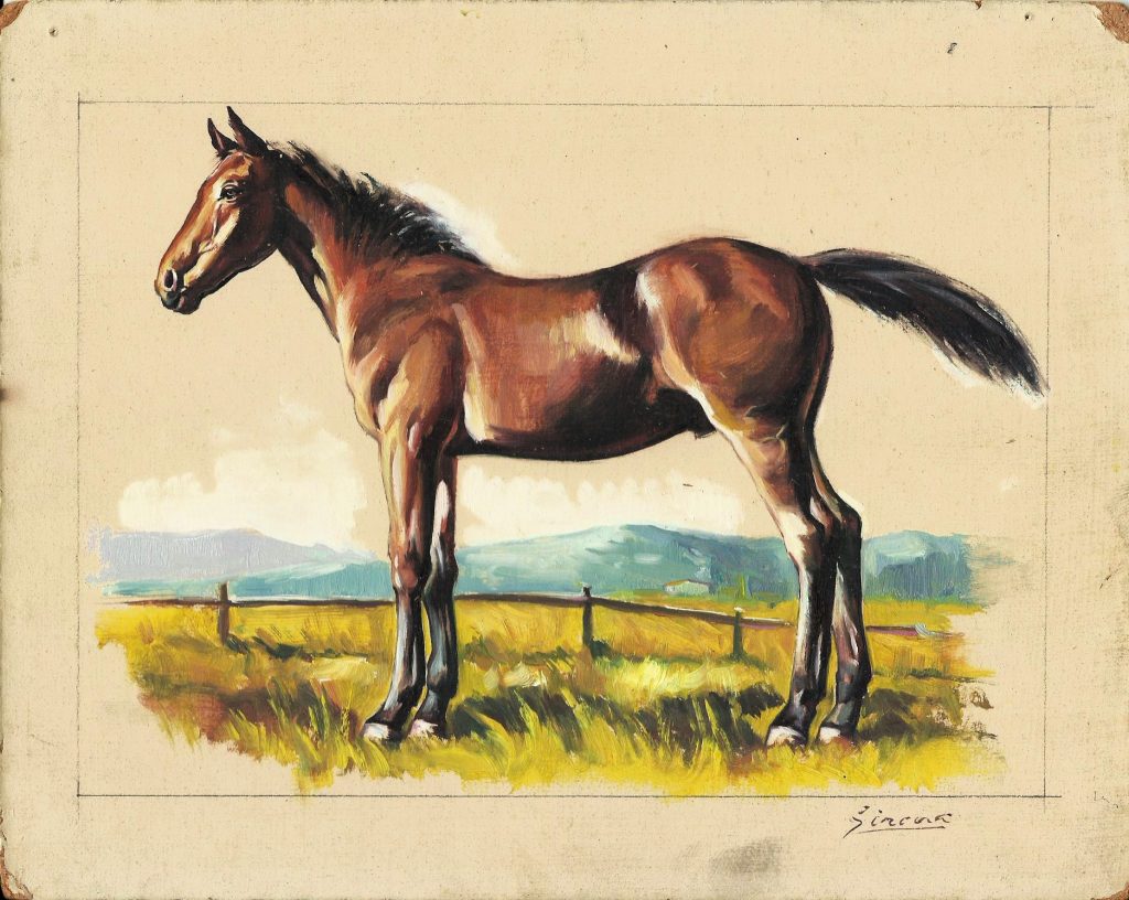 Caballo - Dibujo original - Origin Of Comics
